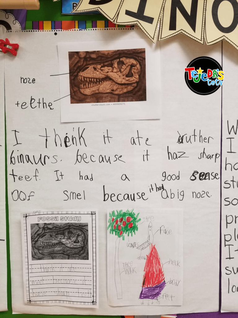Dinosaur Unit Ideas for Kindergarten and First Grade - Tejeda's Tots