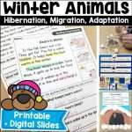 Animals in Winter: Hibernation Activities and Adaptation - Tejeda's Tots