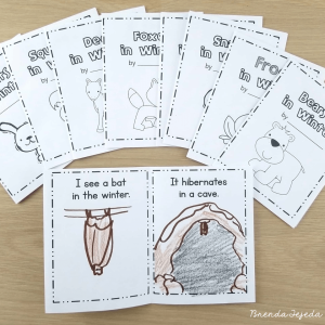 Animals in Winter- Hibernation, Migration, Camouflage, Adaptation ...