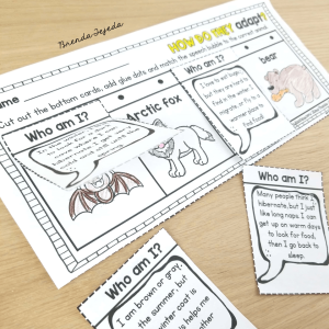 Animals in Winter- Hibernation, Migration, Camouflage, Adaptation ...