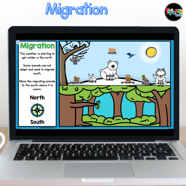 Animals in Winter- Hibernation, Migration, Camouflage, Adaptation ...
