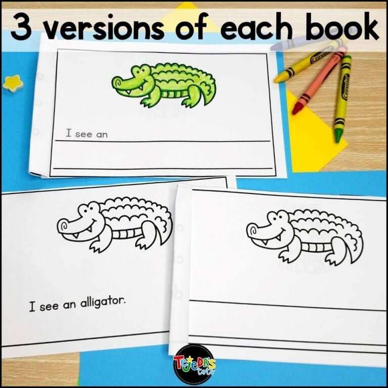 Wordless Books for Writing Bundle - Tejeda's Tots