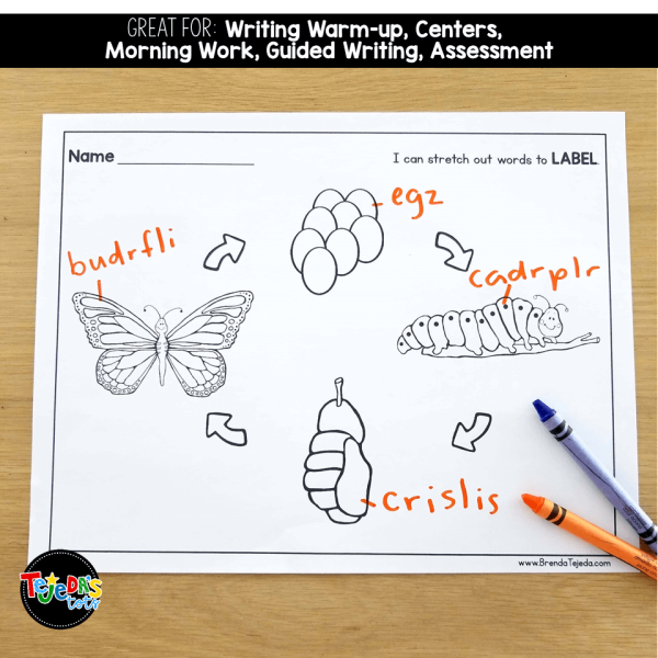 Labeling for Emergent Writers: Spring - Tejeda's Tots