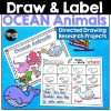 Ocean Animals Directed Drawing Informational End of Year Writing Unit ...