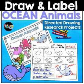 Ocean Animals Directed Drawing Informational End of Year Writing Unit ...