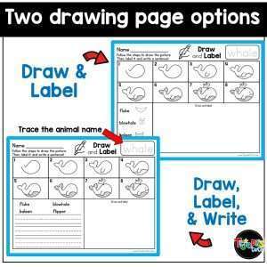 Ocean Animals Directed Drawing Informational End of Year Writing Unit ...
