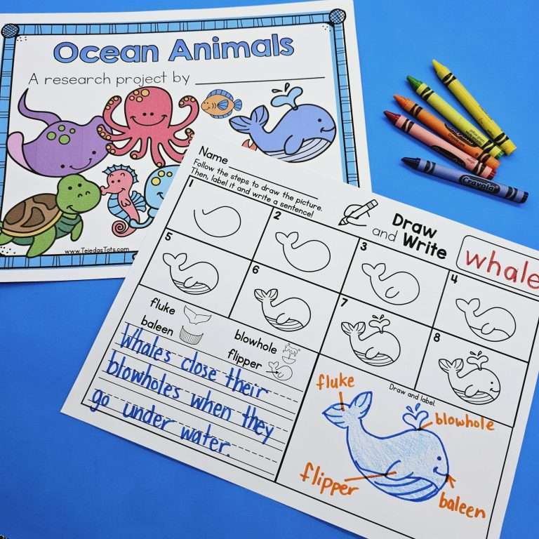 End of Year Writing Activities for Kindergarten and First Grade ...