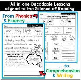 Decodable Lessons: Phonics and Fluency for Small Group Reading ...