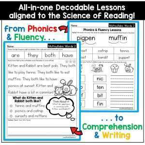Decodable Lessons: Phonics and Fluency for Small Group Reading ...