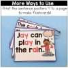 Vowel Teams Decodable Passages and Reading Lessons Science of Reading ...
