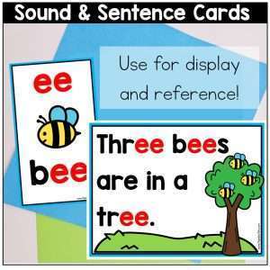 Vowel Teams Decodable Passages and Reading Lessons Science of Reading ...
