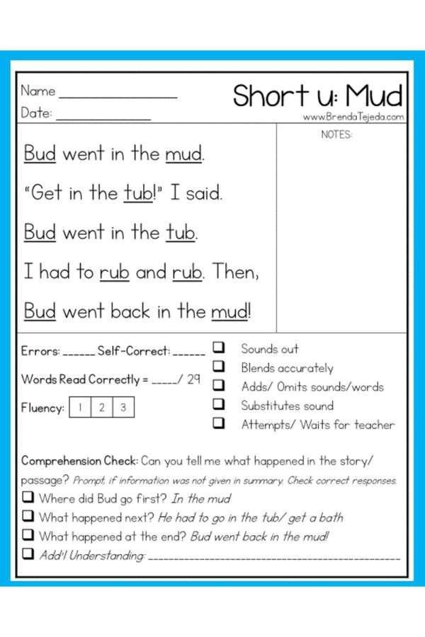 How To Assess Students in Reading Using Decodable Running Records