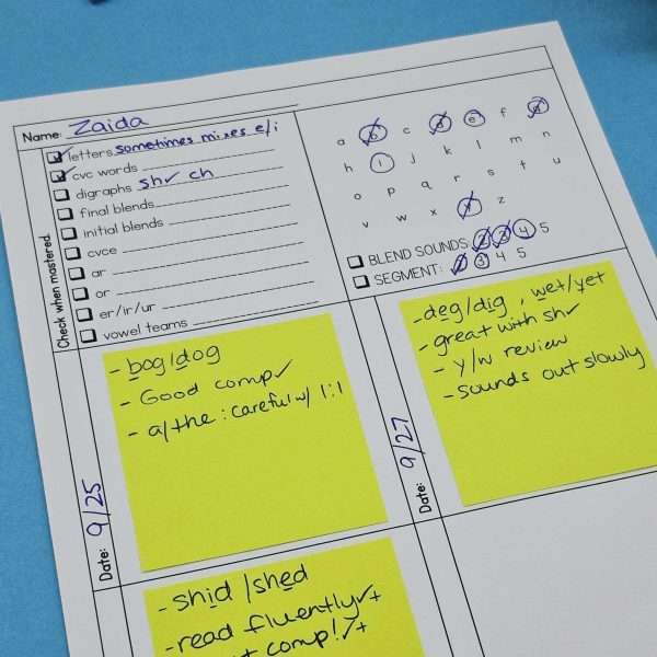 Anecdotal Notes in Small-Group Reading: Tips and Free Templates ...