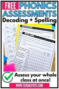 Quick Phonics Assessment for Small Groups