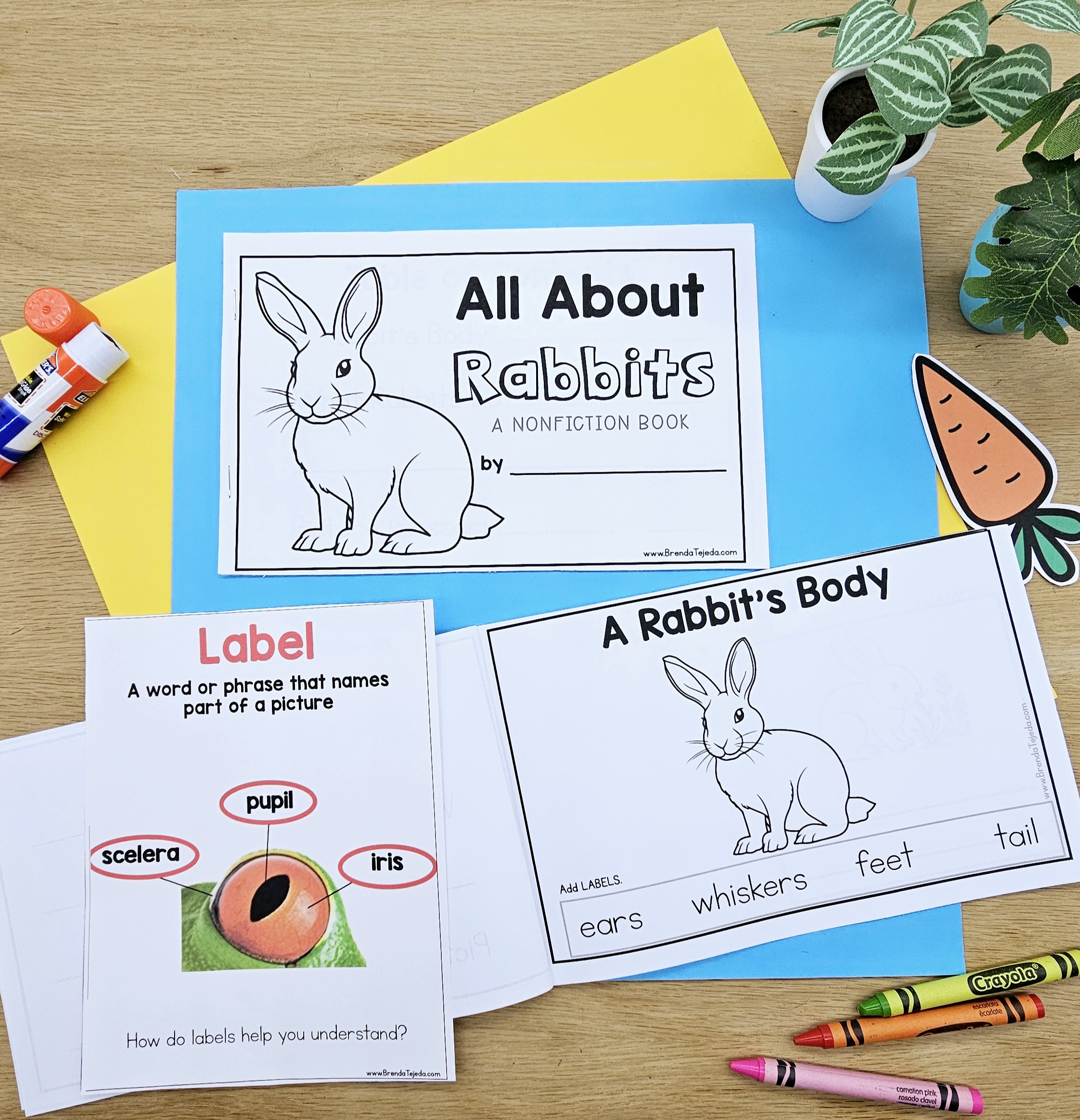 11 April Read Alouds for Kindergarten and First Grade